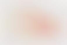 Rose-Emblem Light Tonal Sneakers : yuuto sneaker