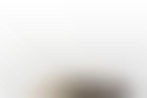 Militaristic Handmade Sneaker Capsules : kai sneaker