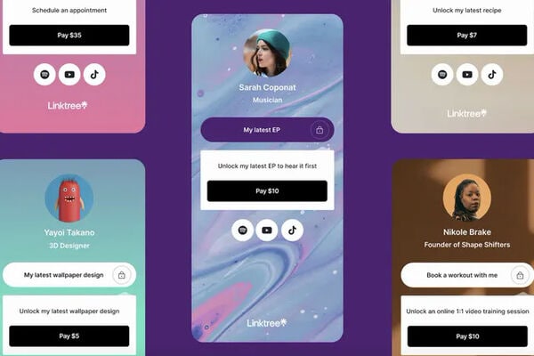 Content Paywall Features : Linktree 1
