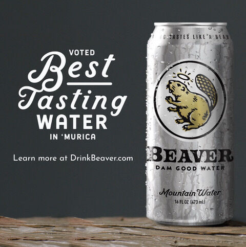 Hilarious Female-Supporting Beer Ads : Beaver Water