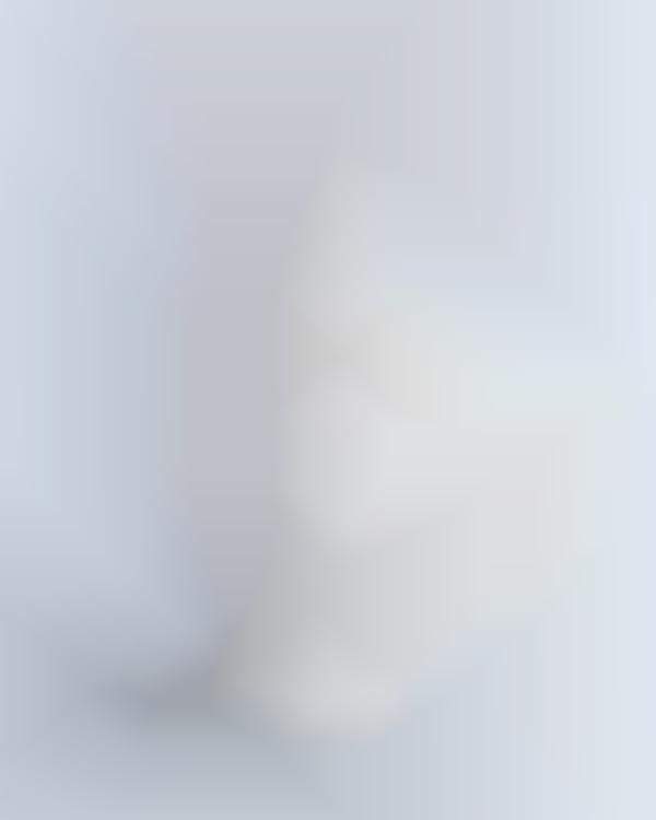 Daily Hygiene Facial Sprays : calming fast mist