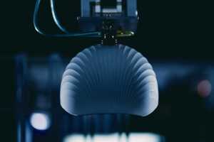 Scallop Shell-Constructed Helmets : shellmet