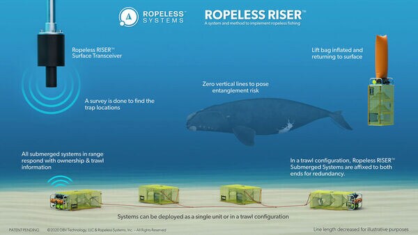 Self-Surfacing Fishing Traps : ropeless RISER