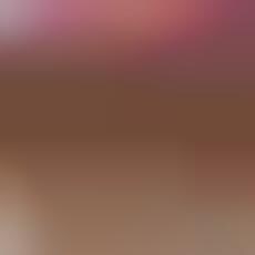 Gel Powder Blushes : Color Fuse Blush