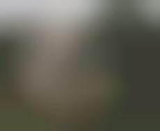 Wooden Offcut Facades : wooden offcut