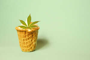 Hemp-Based Ice Creams : hemp based ice cream