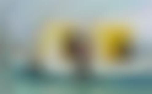 10 Outrageous Outhouses