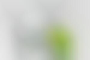 Digital Measuring Cups: The SmartMeasure Cup is an Easy Way to Measure ...