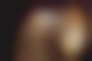 Elephant Gas Masks: Tom Banwell Creates Stylish Steampunked Masks With ...