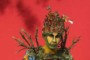 Unisex Body Painting: World Body Painting Championship 2009 Included ...