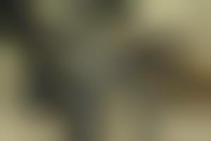 Pistol Cameras: The DORYU 2-16 Video Camera Makes for a Film-Friendly Gun