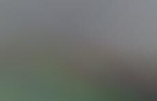 Customizable Wooden Scooters: Ben Wilson DIY Project Lets You Decorate ...