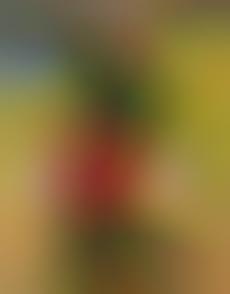 Cartoon Hedge Art: EPCOT Flower & Garden Festival Showcases Disney ...