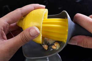 Seed-Catching Squeezers: Catcher Lemon Squeezer Makes Fresh Lemonade ...