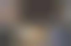 Reptile Residences : BuildingStudio Alligator House