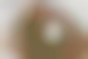 Flora & Fauna Bricks: 'Brick Habitats' Create Bird Residences ...