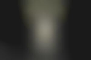 Record Label Cannabis Pivots : Death Row Cannabis