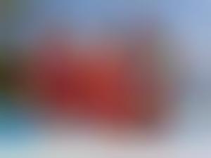 Live Swimwear Photoshoots : 2023 Knix Swim Collection