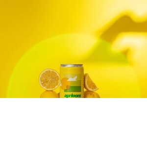 Cannabis-Infused Lemonades : Cannabis Infused Lemonade