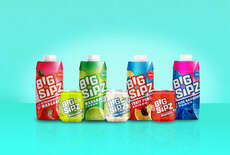 Flavor-Packed RTD Cocktails : Big Sipz 1