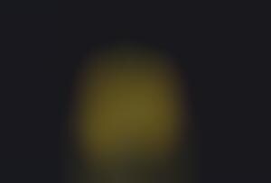 Equity-Focused Cannabis Companies : 93 boyz