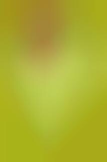 Uplifting Gen Z Fashion : Boohoo Pantone