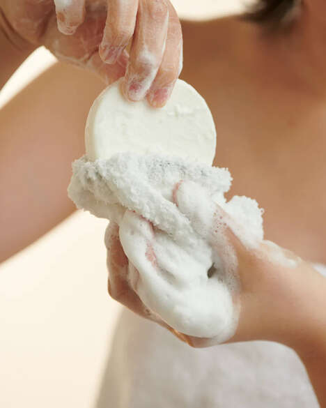 Mushroom-Infused Solid Cleansers : snow mushroom salt cleanser