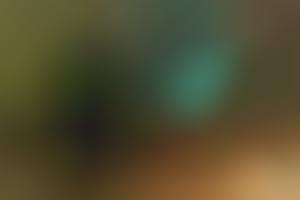 Crooked Bookcases: Lisa Sandall Creates a Slanted and Stylish Storage Unit