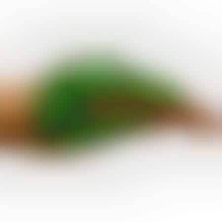 27 Tattoo-Inspired Items