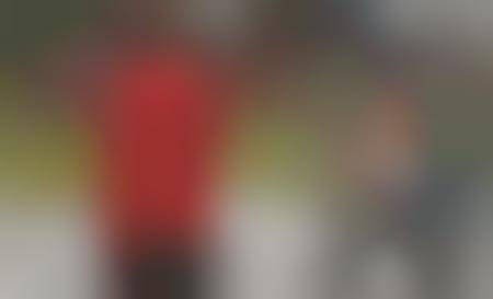 73 Cardboard Creations