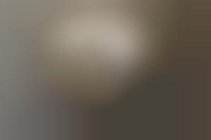 Steampunked Skull Mice: Ivan Mavrov Turns Sheep Bones to Creepy ...