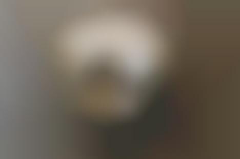 Steampunked Skull Mice: Ivan Mavrov Turns Sheep Bones to Creepy ...