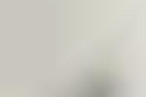 Task-Oriented Trees: The Artificial Air Tree Cleans Up the Skies by ...