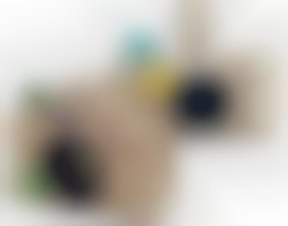 Recycled Paper Cameras: "CAP" is a Pinhole Camera With a Rough-Looking ...