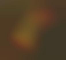 Psychedelic Dioramas: Meredith Dittmar's Artwork is Intensely Captivating