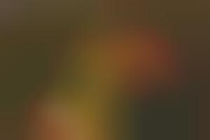 Psychedelic Dioramas: Meredith Dittmar's Artwork is Intensely Captivating