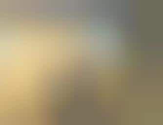 42 Realistic Robotic Bugs