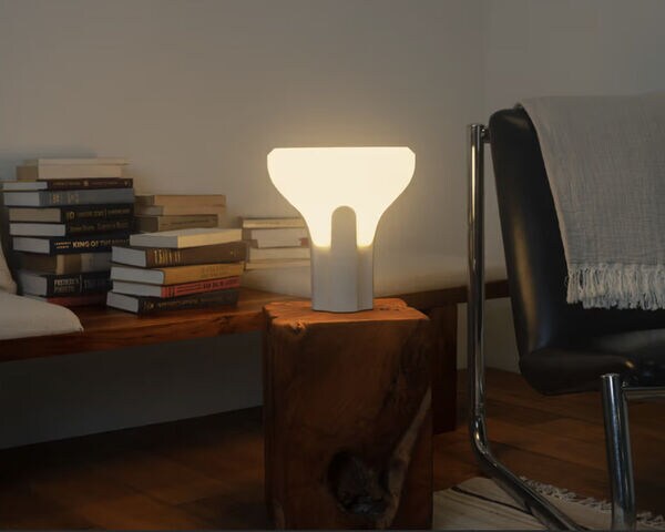 Plant-Based Table Lamps : plant-based lamp