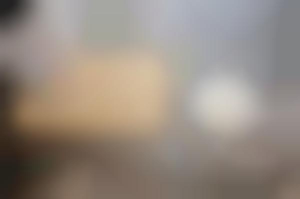 Mycelium-Derived Fire-Proof Materials : fire-proof materials