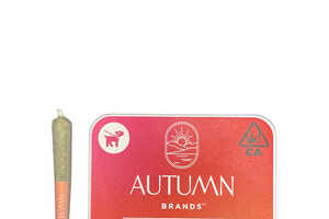 Compact Mini Pre-Rolls : mini pre-rolls