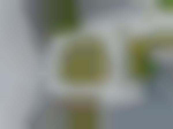 Atomic-Science Research Facilities : atomic-science research