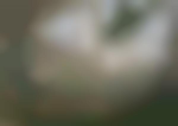 Greenery-Packed Museum Buildings : museum building