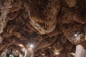 Multi-Sensory Art Experiences : Arcadia Earth Toronto & Benjamin Von Wong