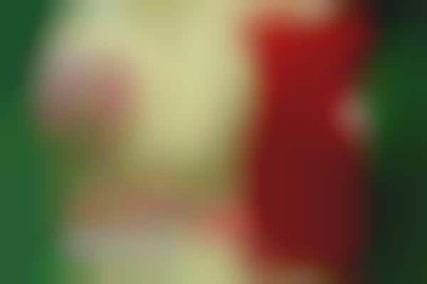 29 Gummy Bear Innovations