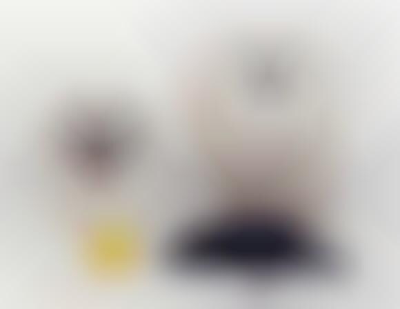 Mousetrap Coffins: Sarah Dery Designs Hygienic Mousetraps