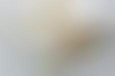 Single-Handed Kitchens: The One-Hand Kitchen Equipment for the ...