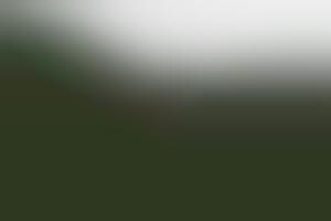 Cardboard Castles: Four Guys Create a Fort Fit for Do-It-Yourself Kings