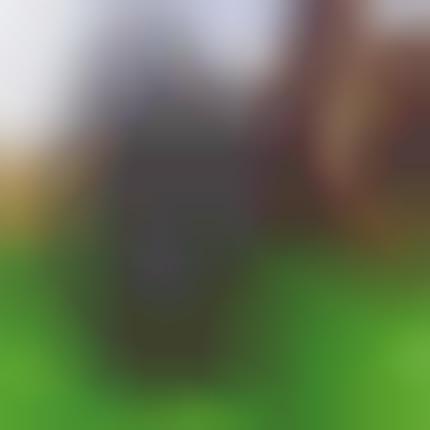 70 Surreal Sudsy Soaps