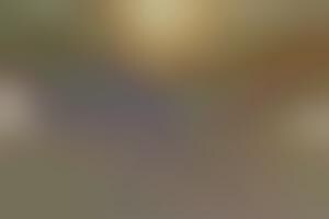 Gourmet-to-Go: Restaurants Wrap Up Fine Dining Treats for On-the-Go Foodies