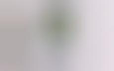 Green Garbage Bins: Envi Trash Bin Doubles up as a Planter